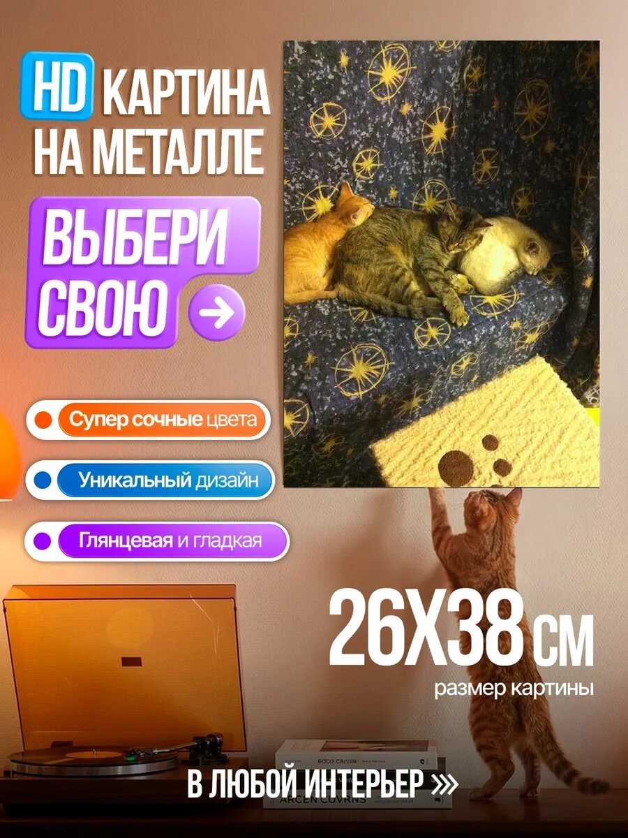 Картина на HD металле Два кота спят