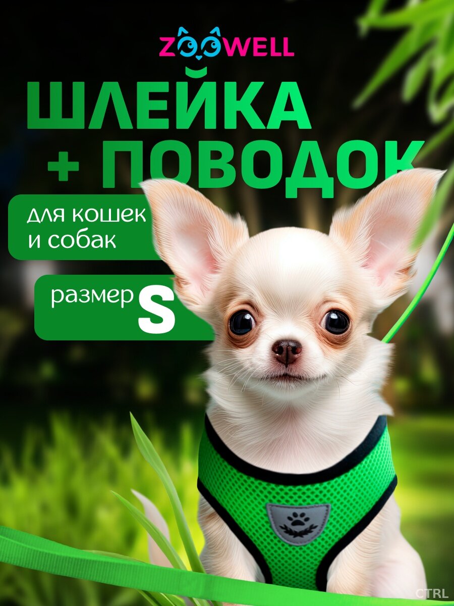 Шлейка с поводком для собак и кошек ZooWell универсальная, размер S, зеленая