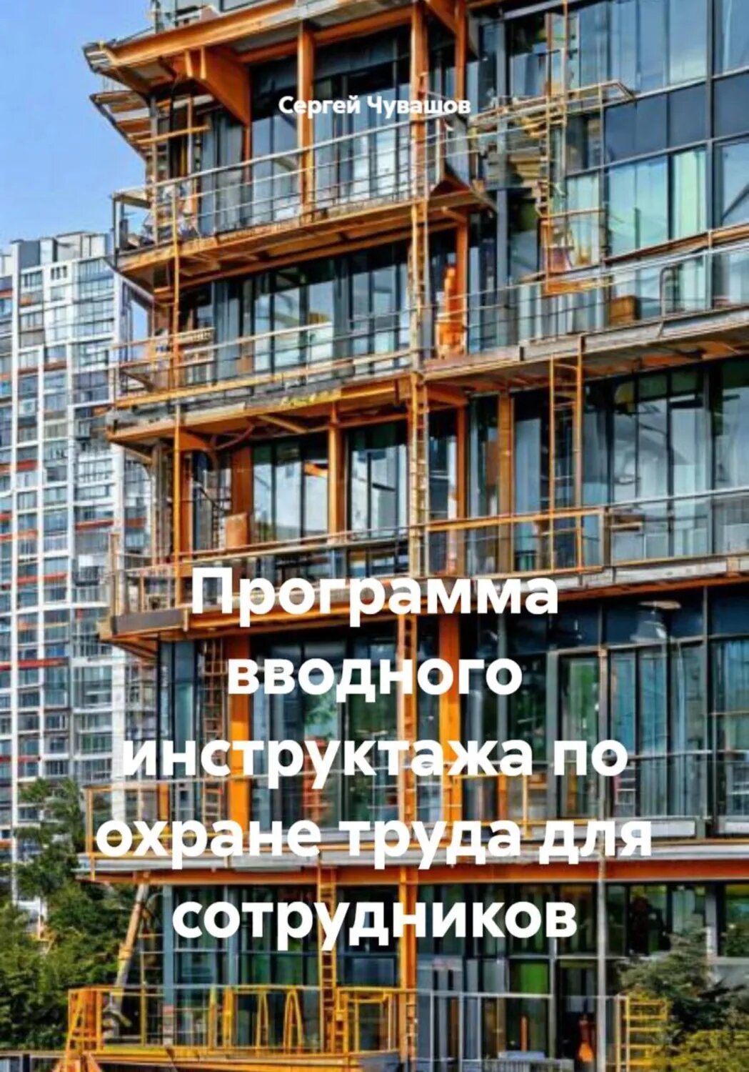 Программа вводного инструктажа по охране труда для сотрудников [Цифровая книга]