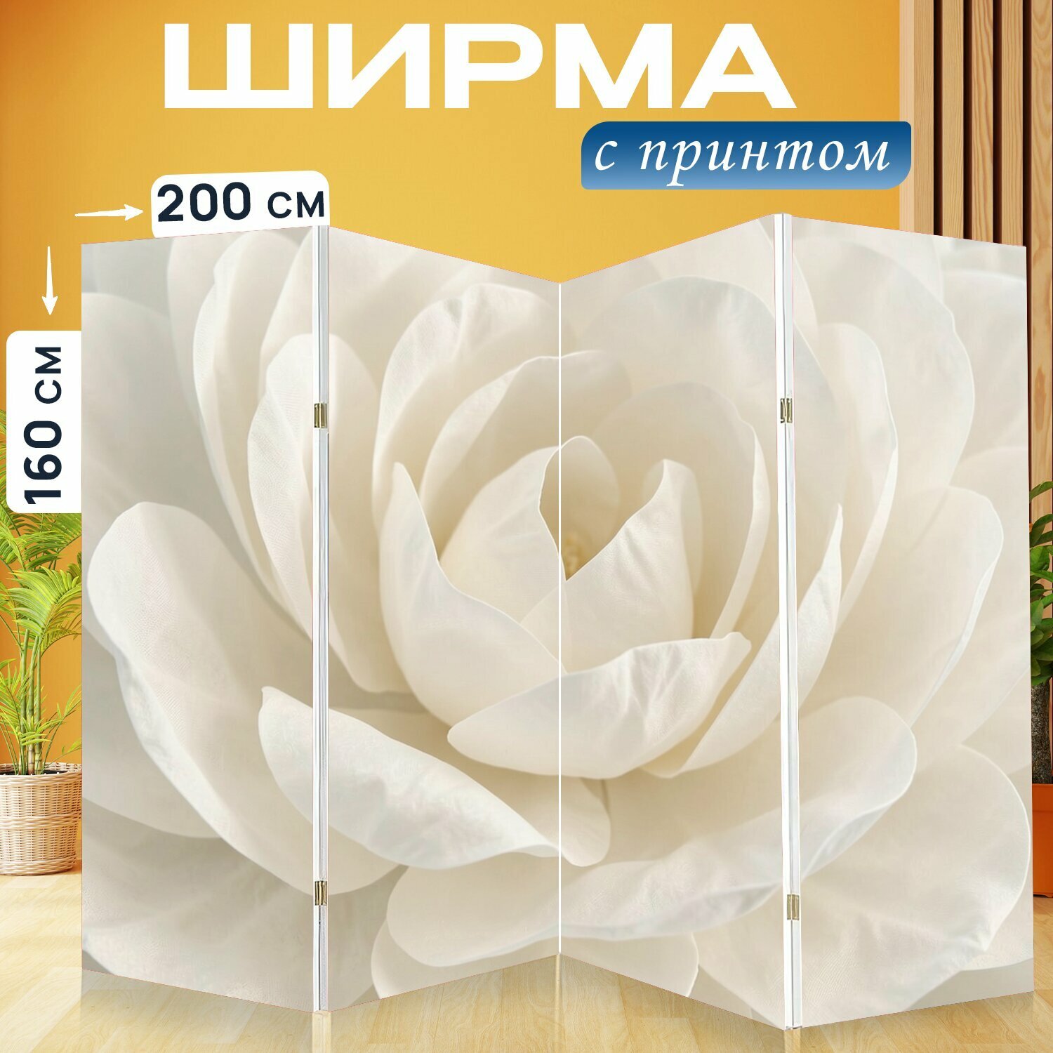 Ширма "Белый цветок крупным планом. Нежный светлый бутон в макросъёмке, мягкие лепестки с кремовыми оттенками." перегородка для зонирования комнаты с принтом 200x160 см. на холсте