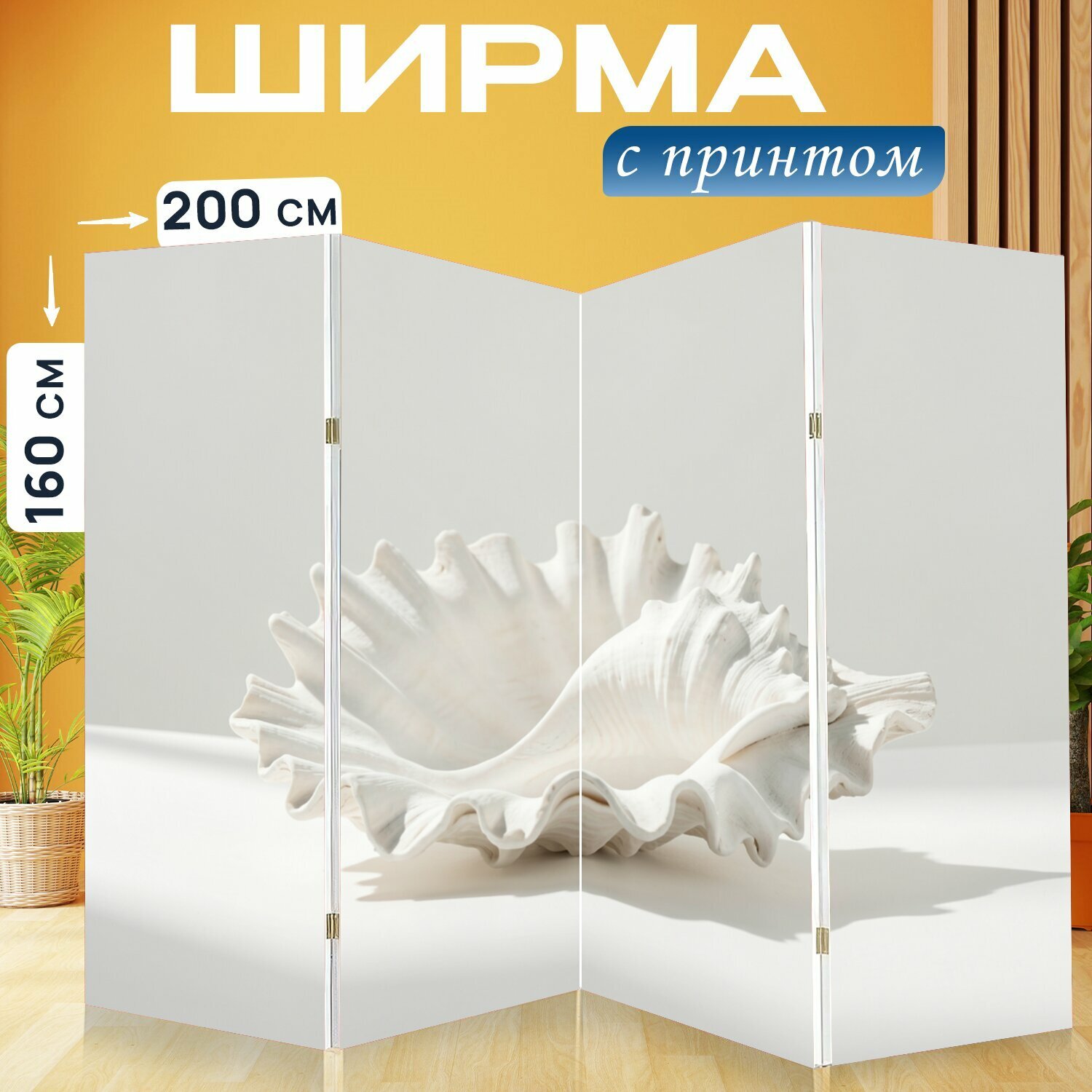 Ширма "Белая морская раковина. Минималистичная композиция с крупной океанической створкой на светлом фоне." перегородка для зонирования комнаты с принтом 200x160 см. на холсте