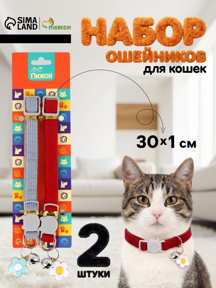 Набор ошейников для кошек Пижон, серый, красный, размер S, 2 штуки