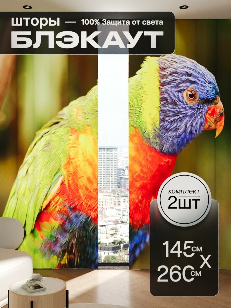Шторы блэкаут 145x260 см 2 шт на окна плотные комплект