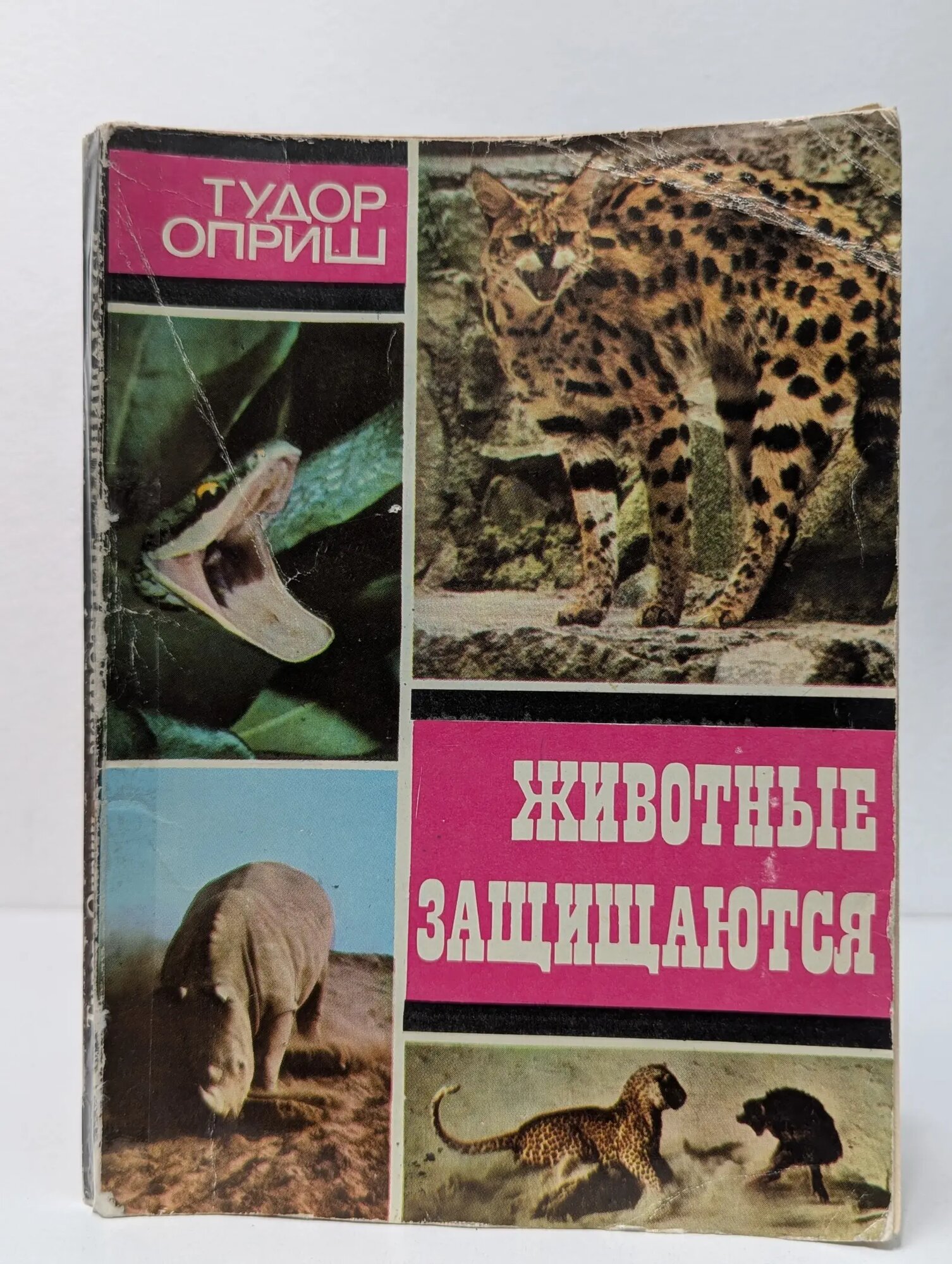 Животные защищаются Оприш Тудор 1978