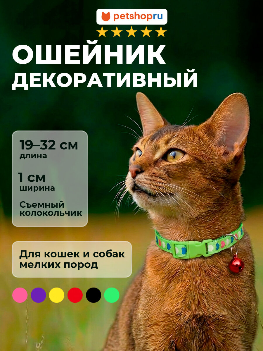 PETSHOP Ошейник для кошек и собак "Зорик", 19-32*1 см