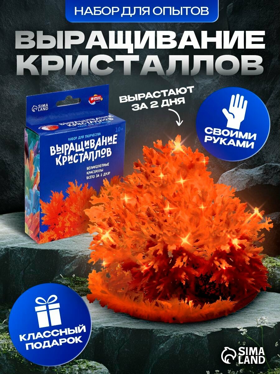 Набор для выращивания больших кристаллов, опыты для детей "Лучистый кристалл, оранжевый"