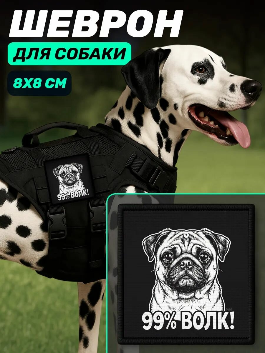Шеврон на липучке для собаки 99% волк Мопс