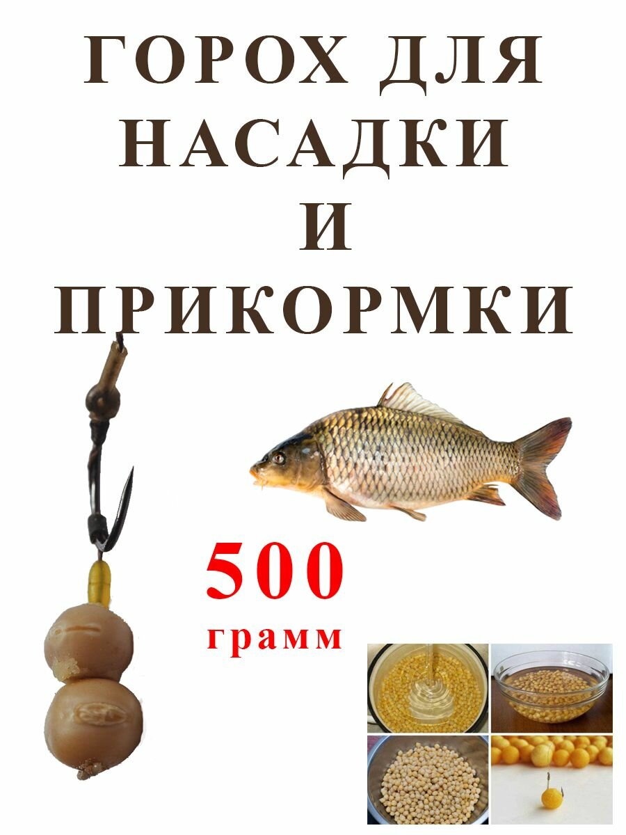 Горох приманка для рыбалки