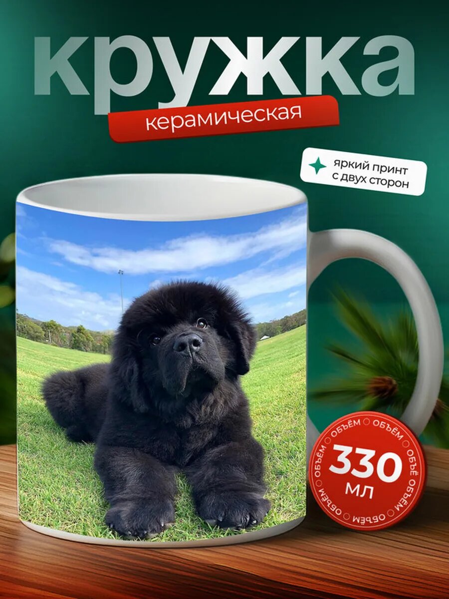 Кружка Ньюфаундленд 5,