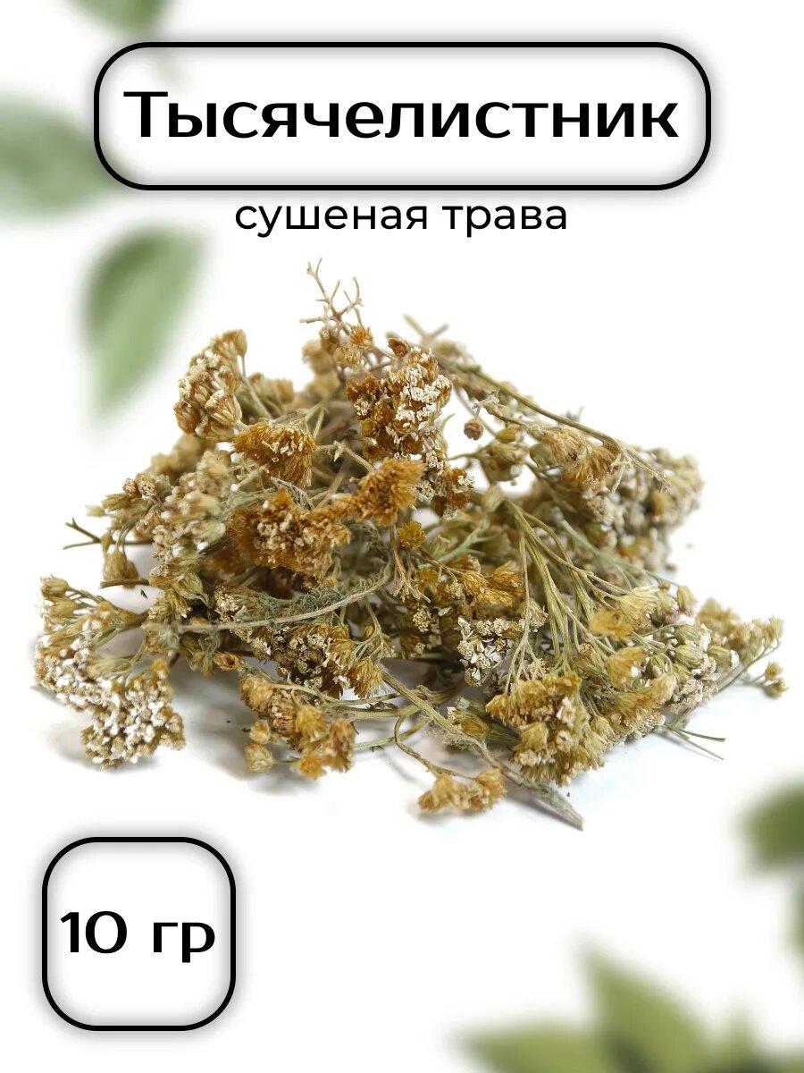 Тысячелистник сушеная трава - 10 гр