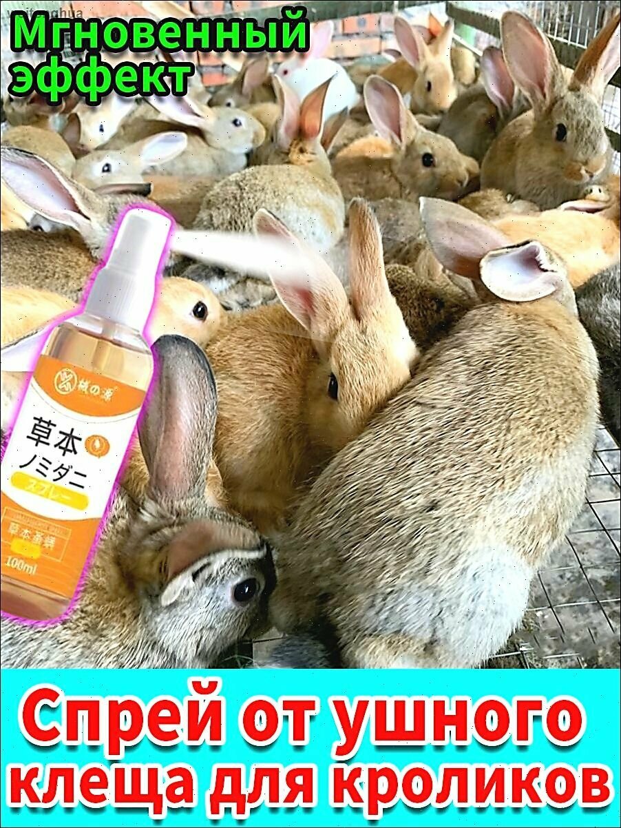 Спрей от ушных клещей для кошек, собак и кроликов