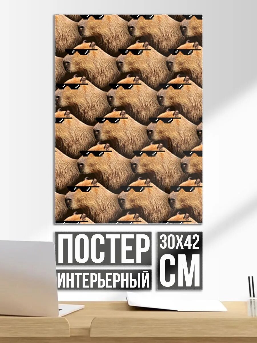 Постер на стену Крутая капибара - мем