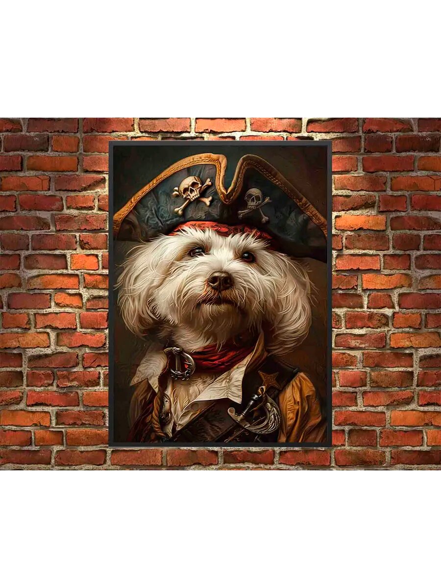 Котон де Тулеар Пес-пират 3, Плакат 30x42см