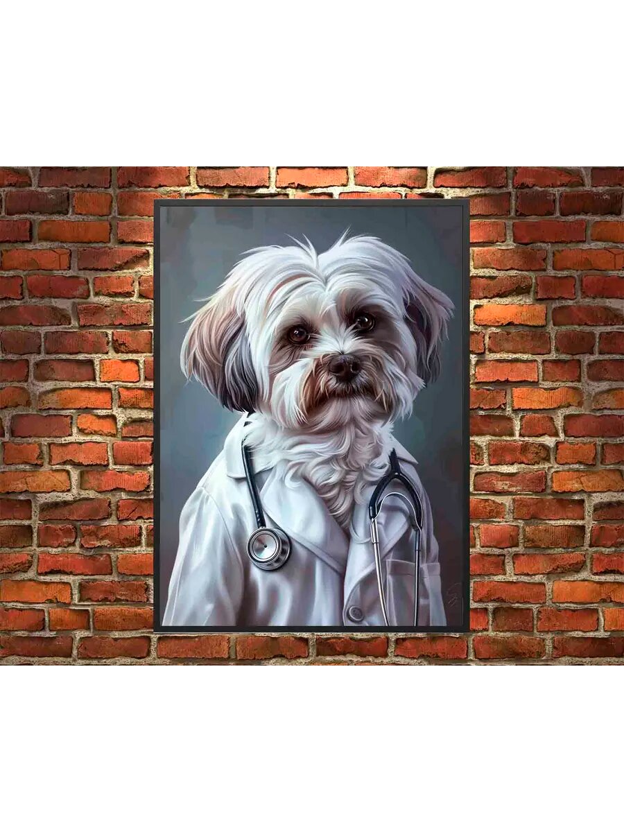 Гаванский собачий доктор 3, Плакат 30x42см