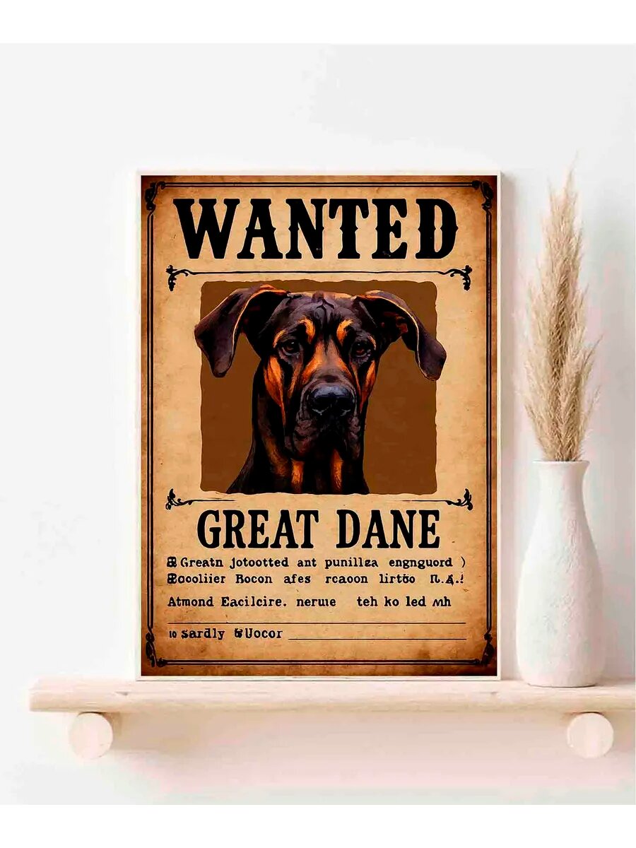 Немецкий дог, Wanted, Плакат 30x42см