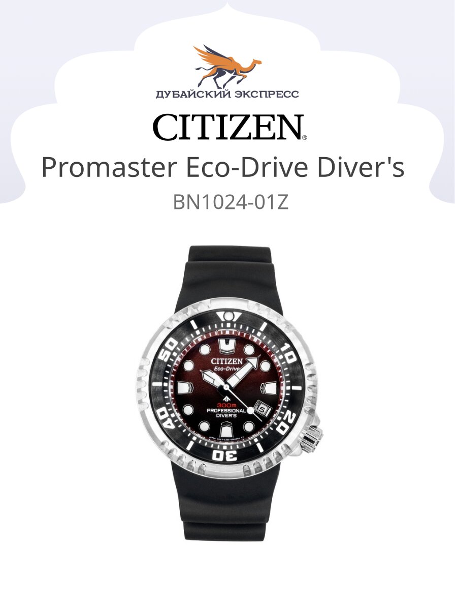  CITIZEN
