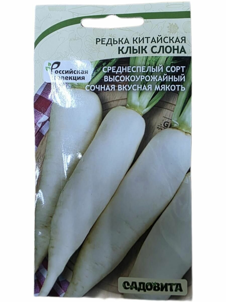 Семена Редька китайская Клык слона - сочный , нежный , 1гр . Садовита