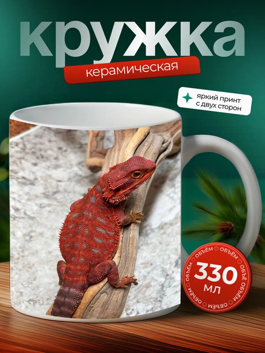 Кружка Агама рептилия 16,