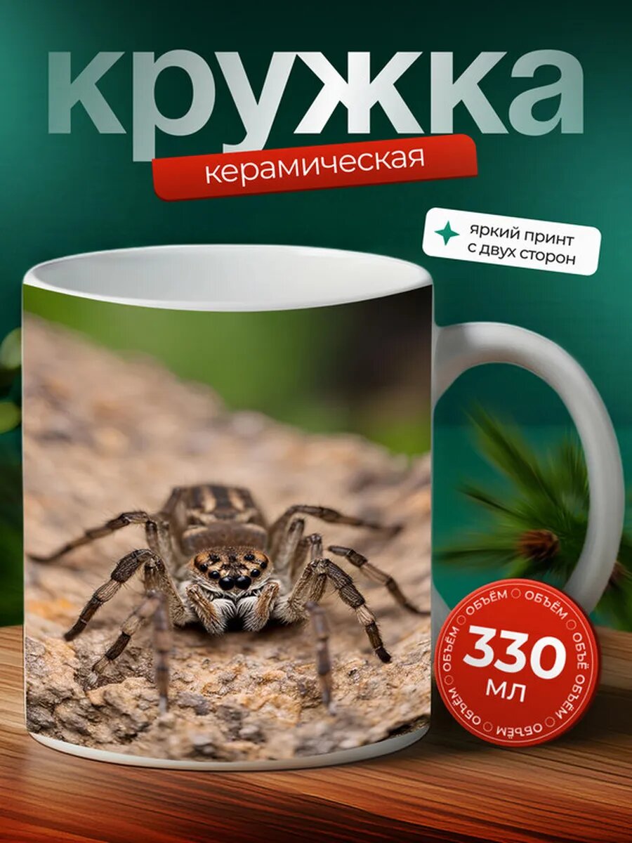 Кружка Паук-волк паукообразное 6,