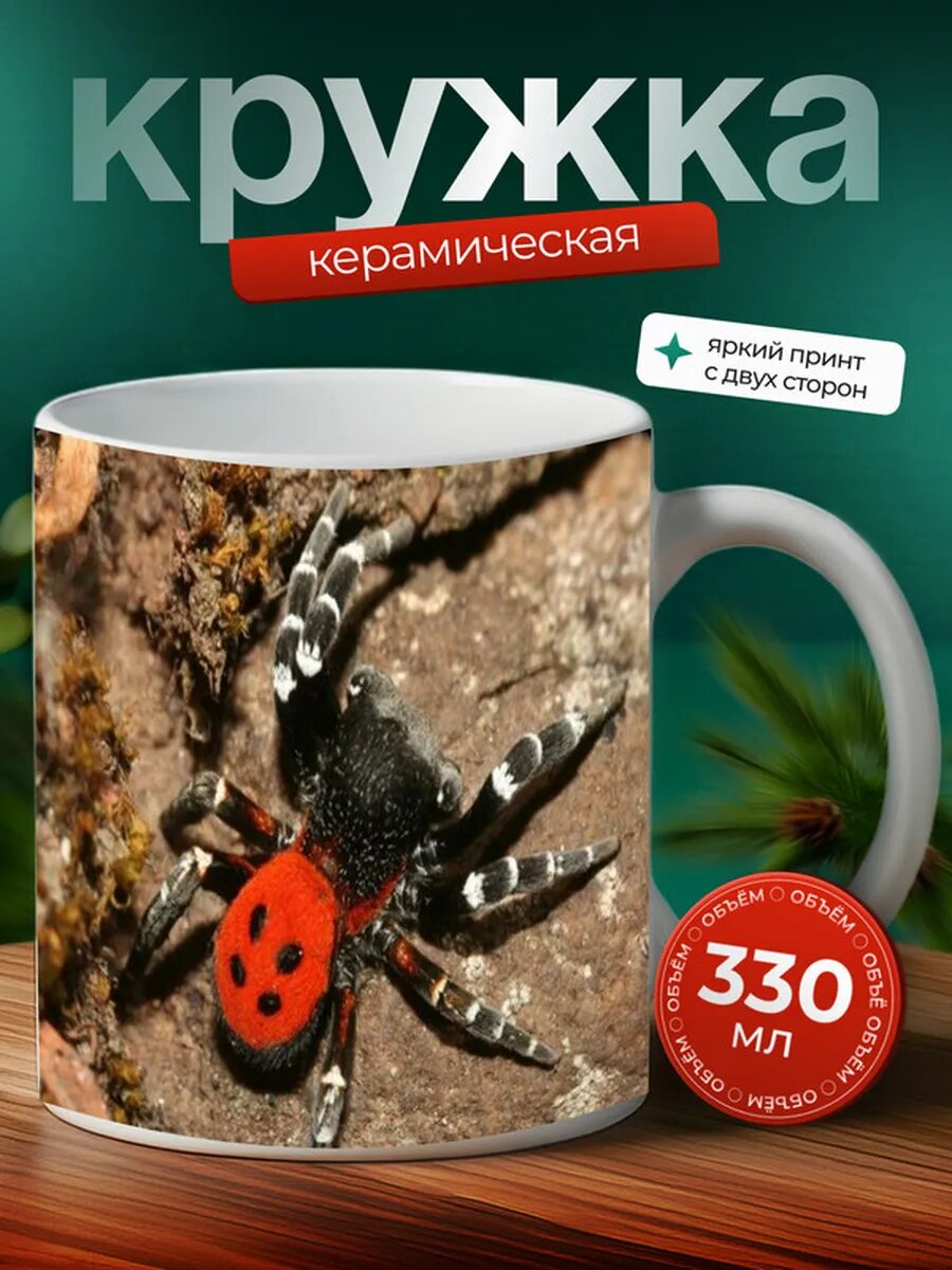 Кружка Мизумена паук-цветочник паукообразное 11,