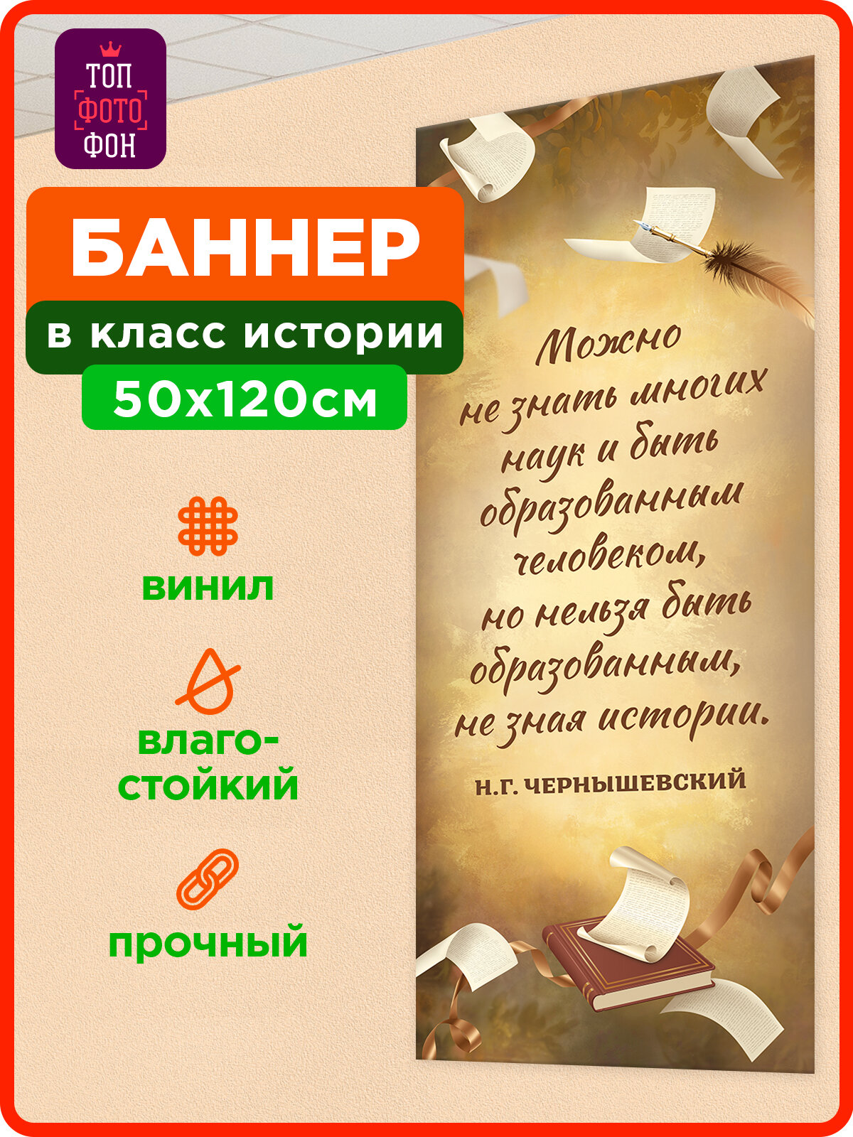 Топфотофон Плакат цитата Чернышевского в класс истории в школу, 50х120 см