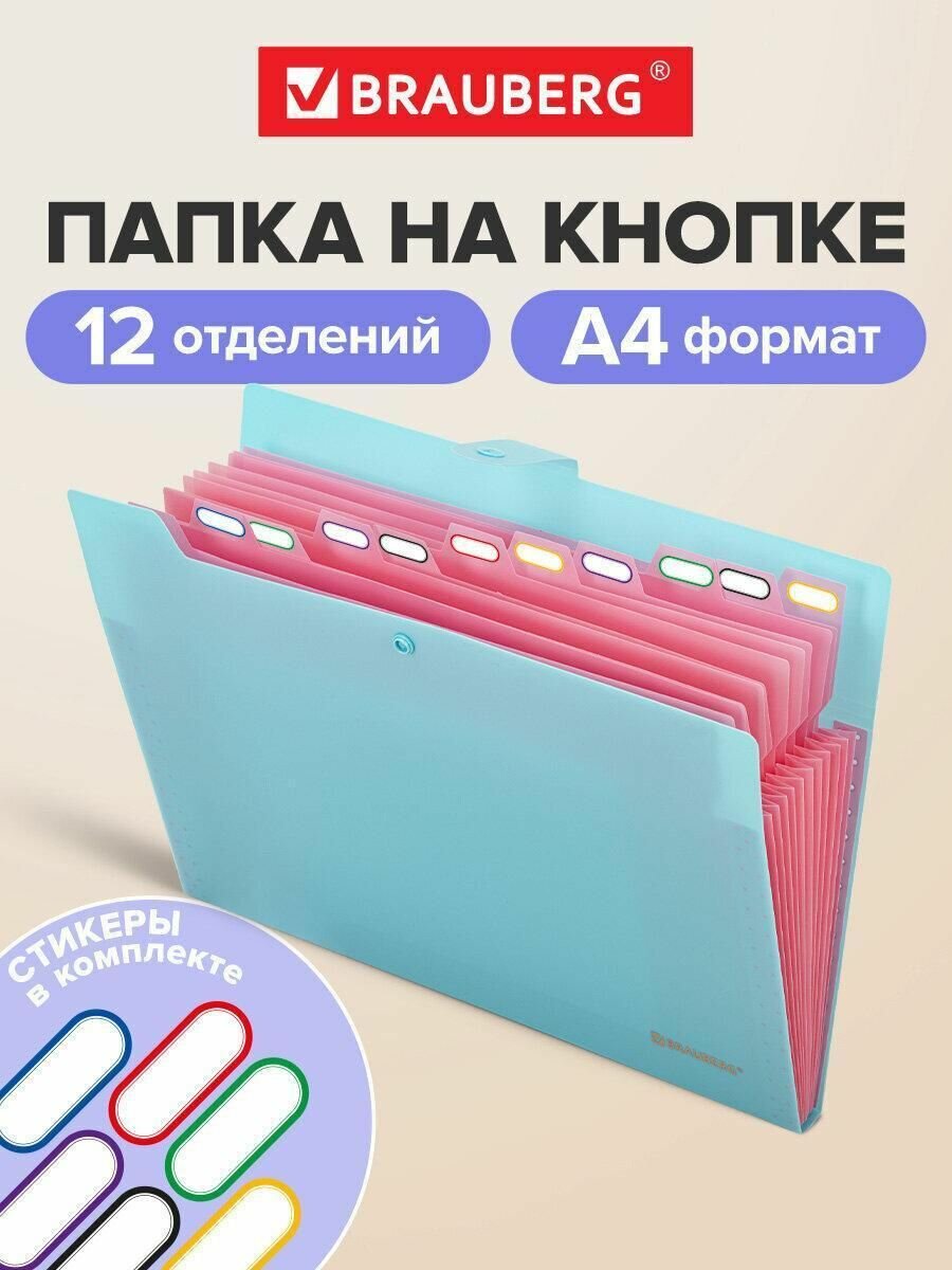 Папка Brauberg 12 отделений, Extra, А4, голубая с розовым, 271932