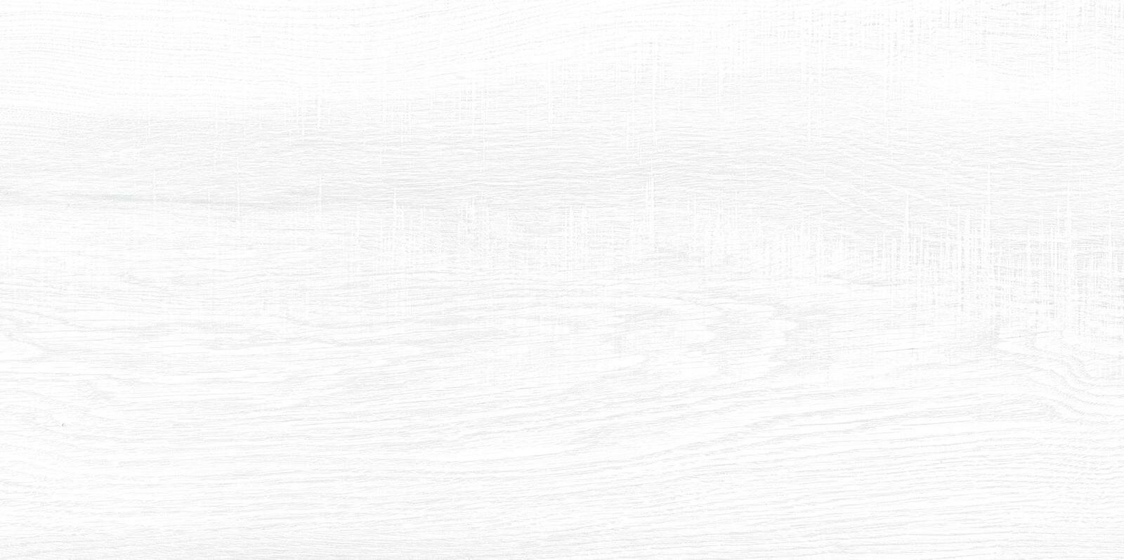 Керамическая плитка AltaCera Бриоле белый Briole White WT9BRE00 Глянцевая 24,9х50 см