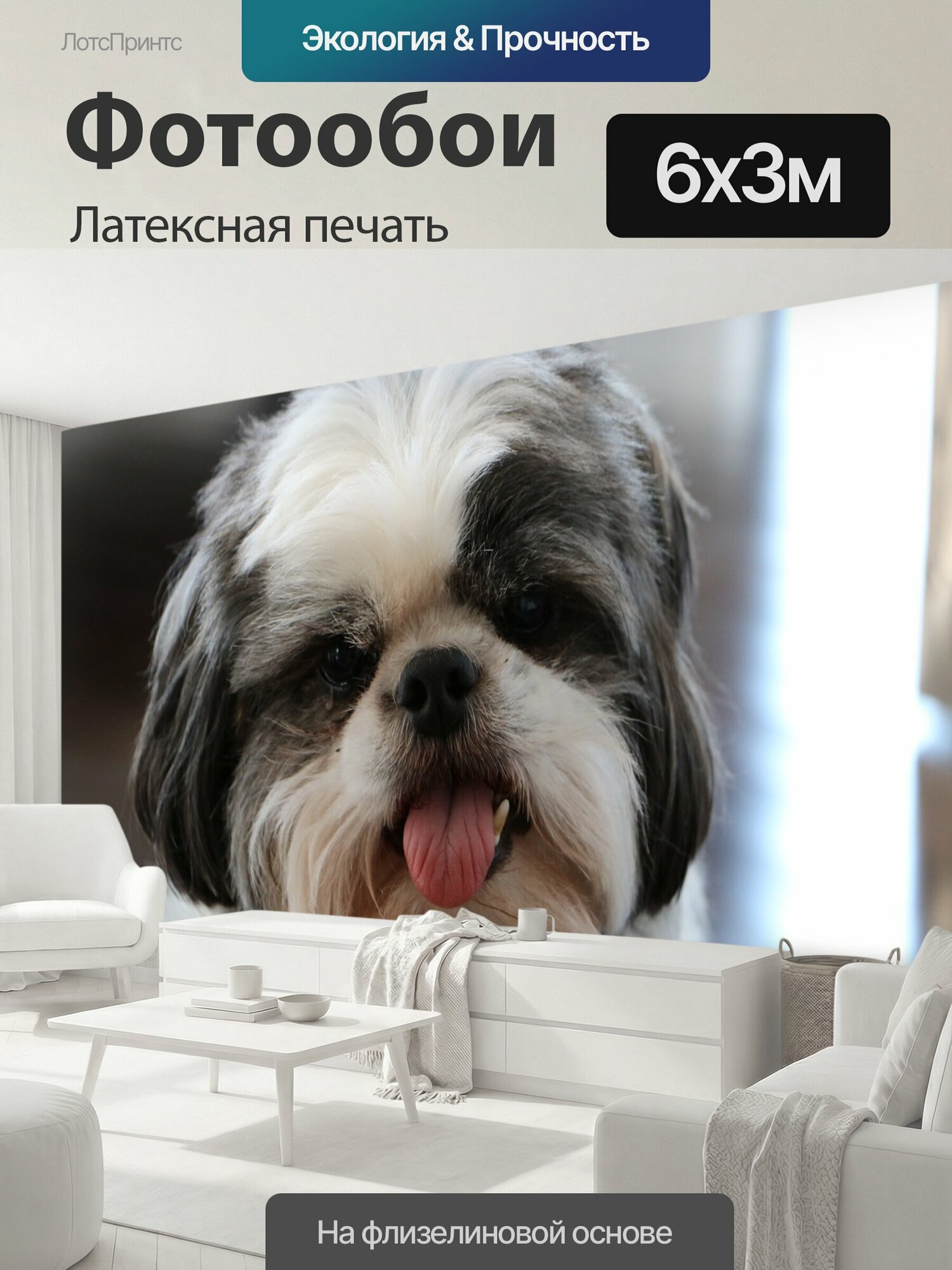 Фотообои моющиеся ударопрочные "Собака, ши тцу, белый" 600x300 см. латексная печать