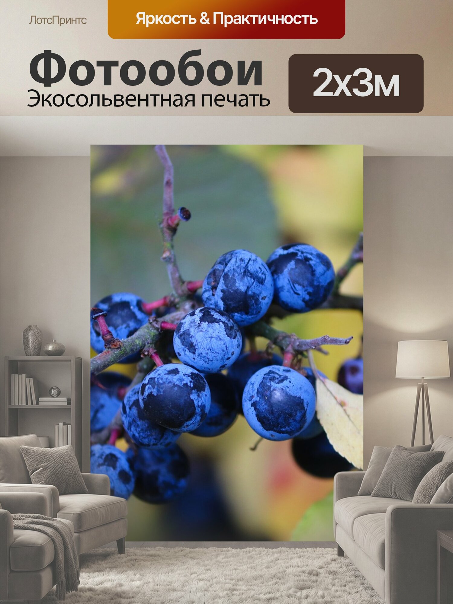 Фотообои "Ягоды, терн, prunus spinosa" 200x300 см. экосольвентная печать