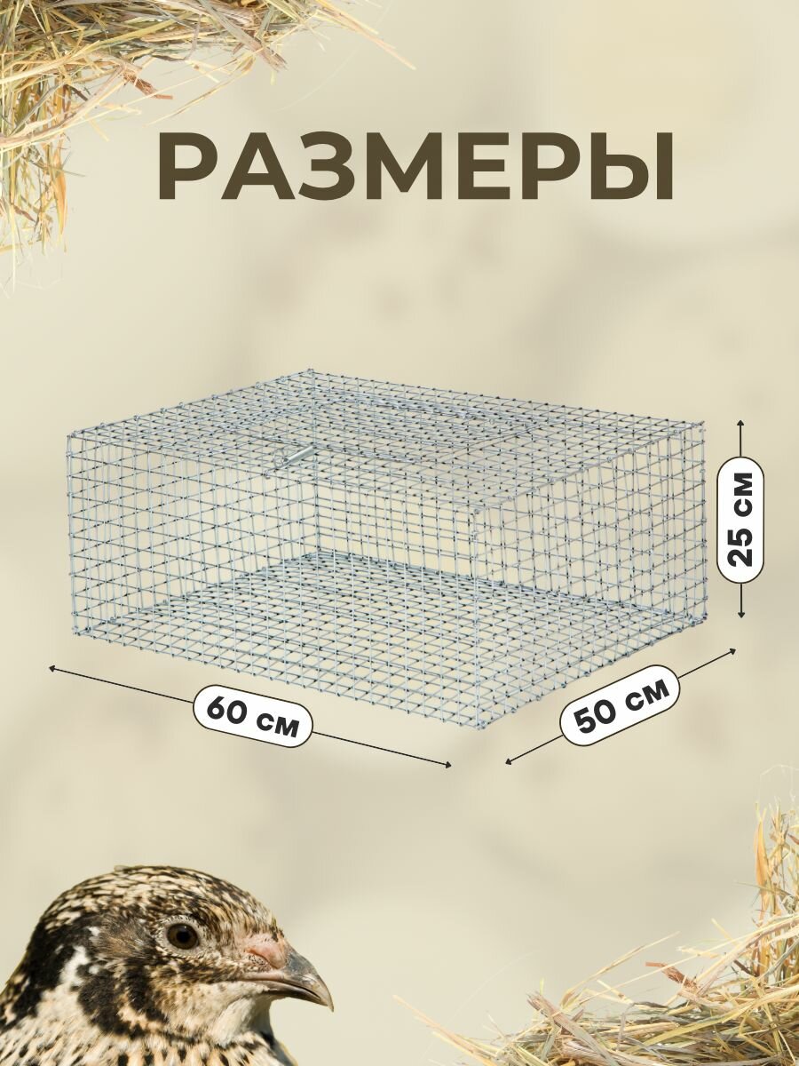 Перевозка 60*50*25 см. — фото 1