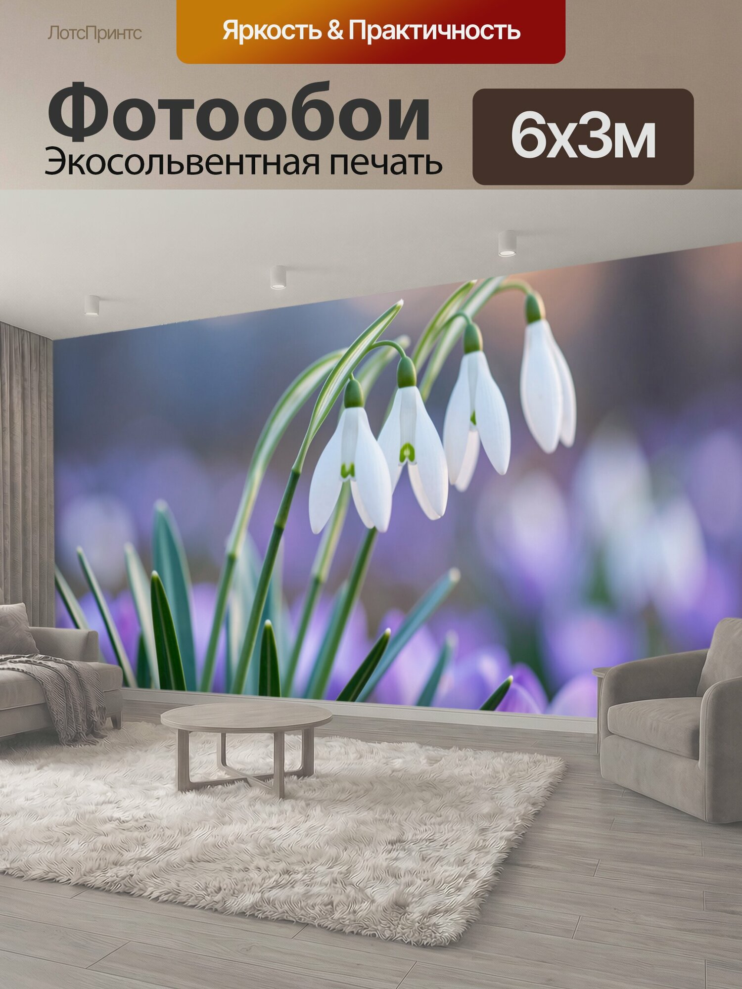 Фотообои "Подснежники и крокусы весной. Нежный весенний сюжет с белыми поникающими цветами и фиолетовыми первоцветами на размытом фоне. Мягкий." 600x300 см. экосольвентная печать