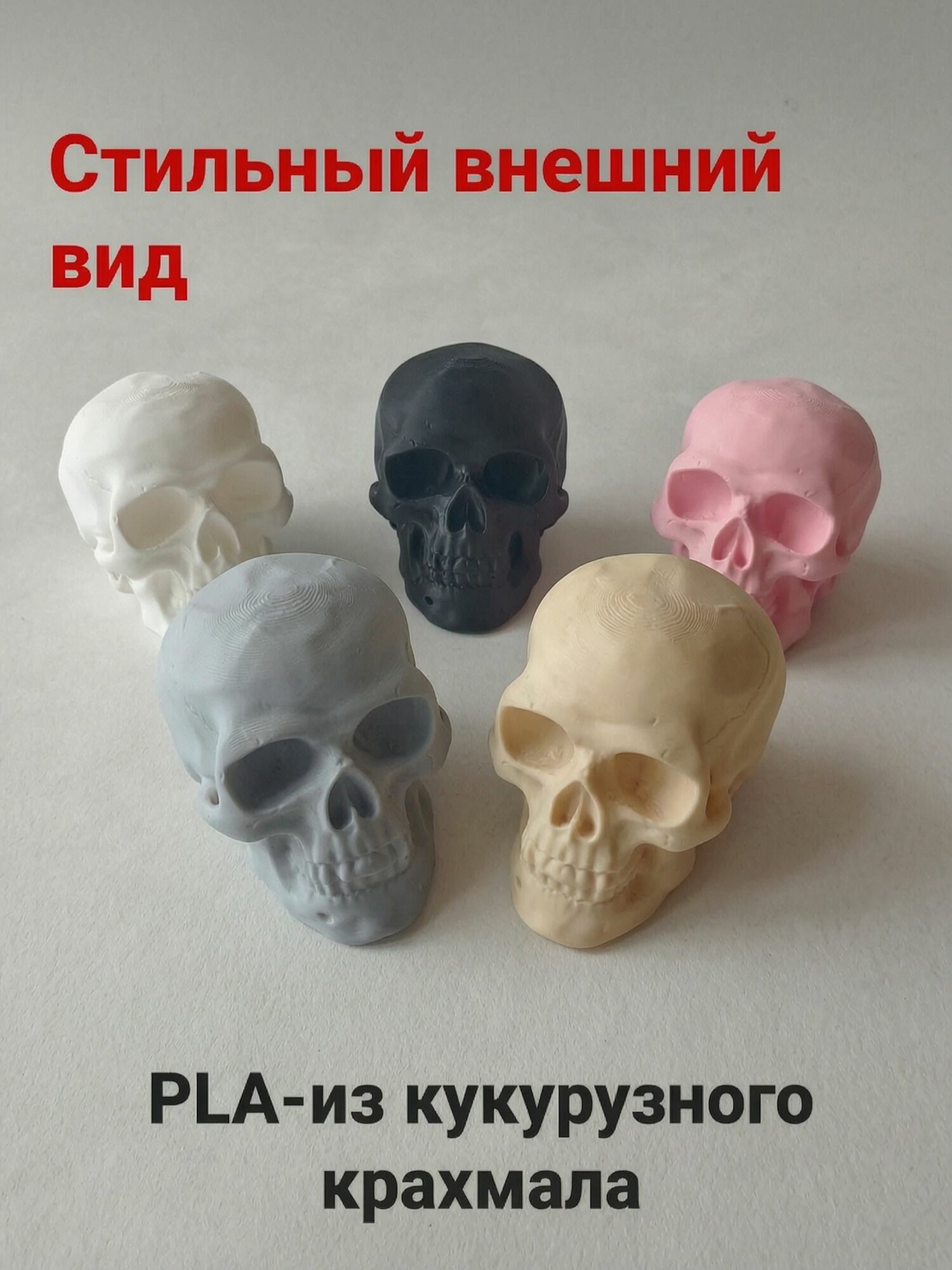 Череп Человека — фото 1