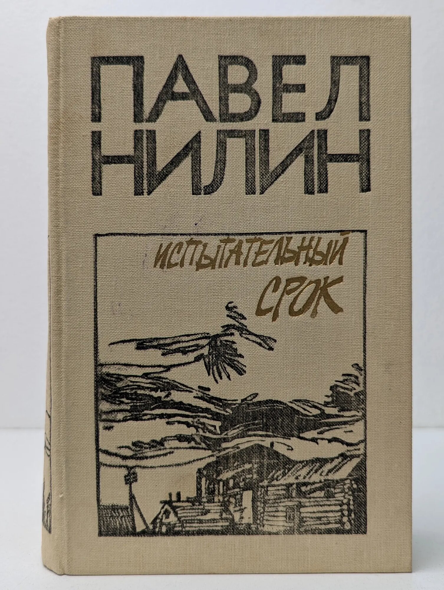 Испытательный срок Нилин Павел Филиппович 1987
