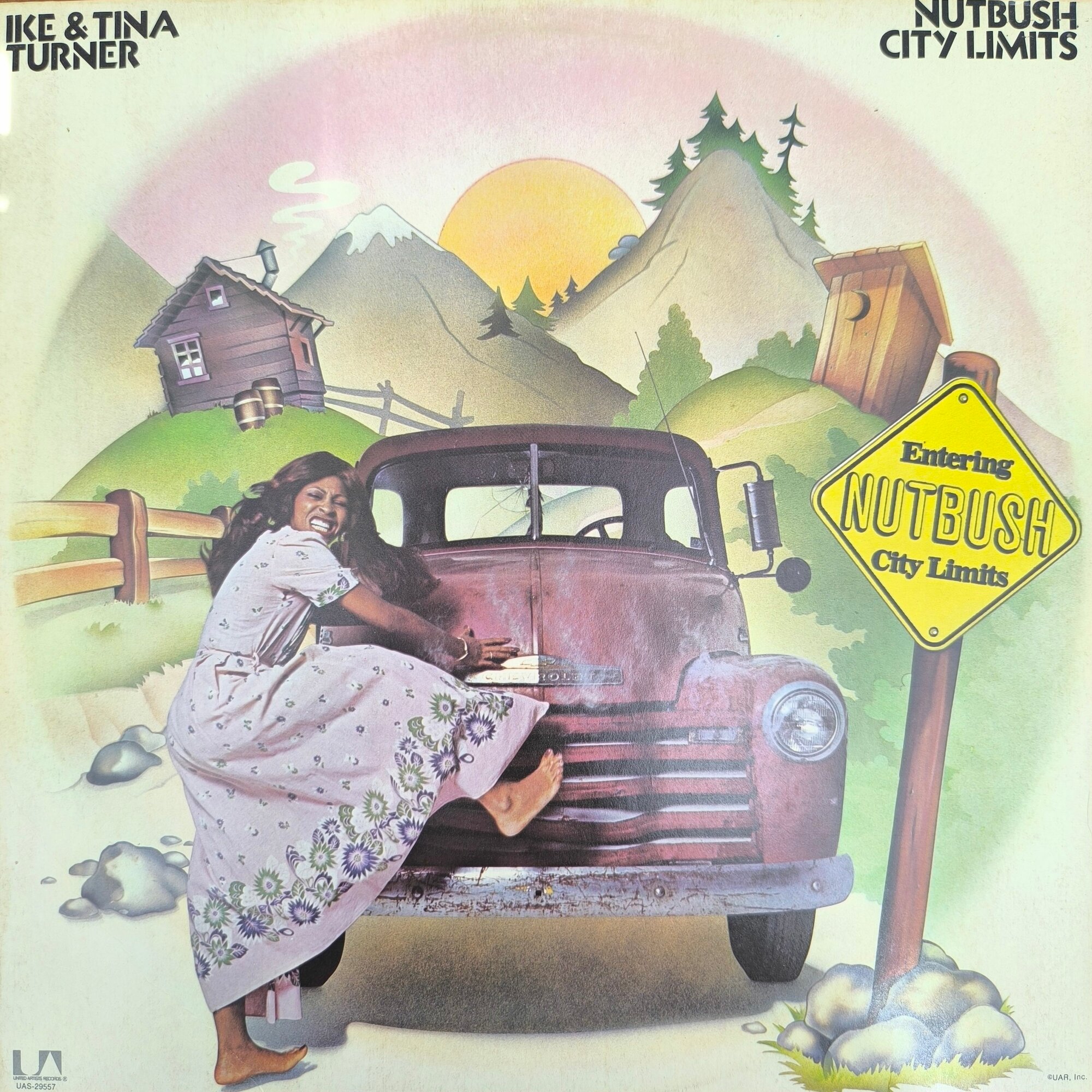 Виниловая пластинка Ike & Tina Turner - Nutbush City Limits (Скандинавия) LР