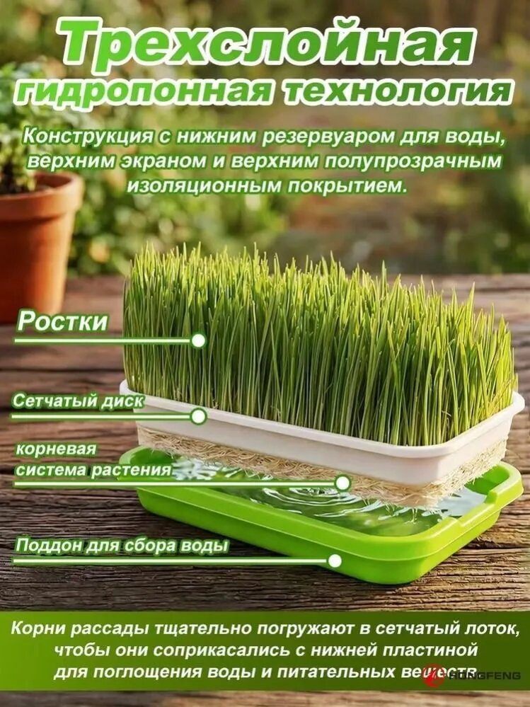Гидропонная установка — фото 1