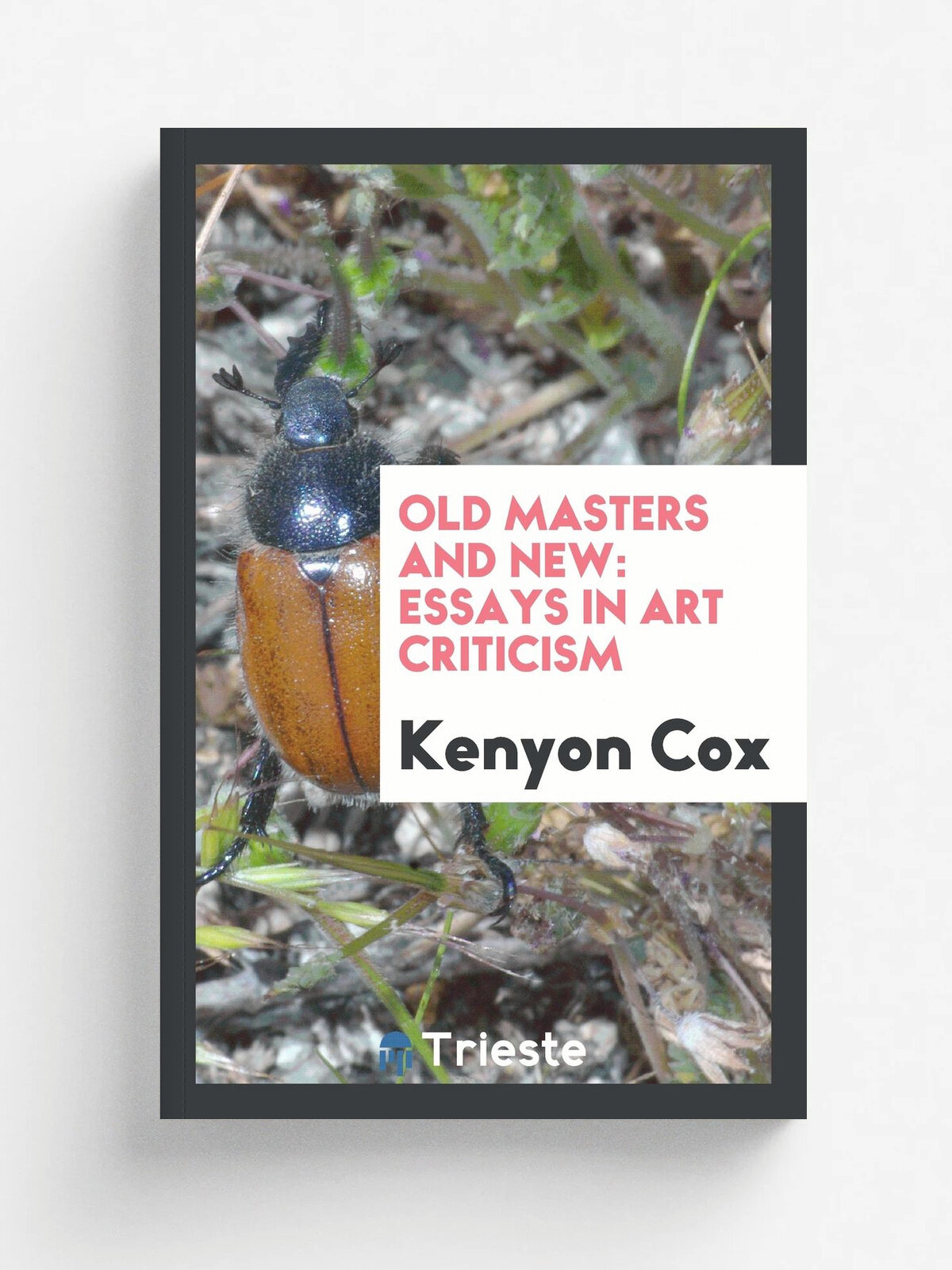 Old masters and new. essays in art criticism