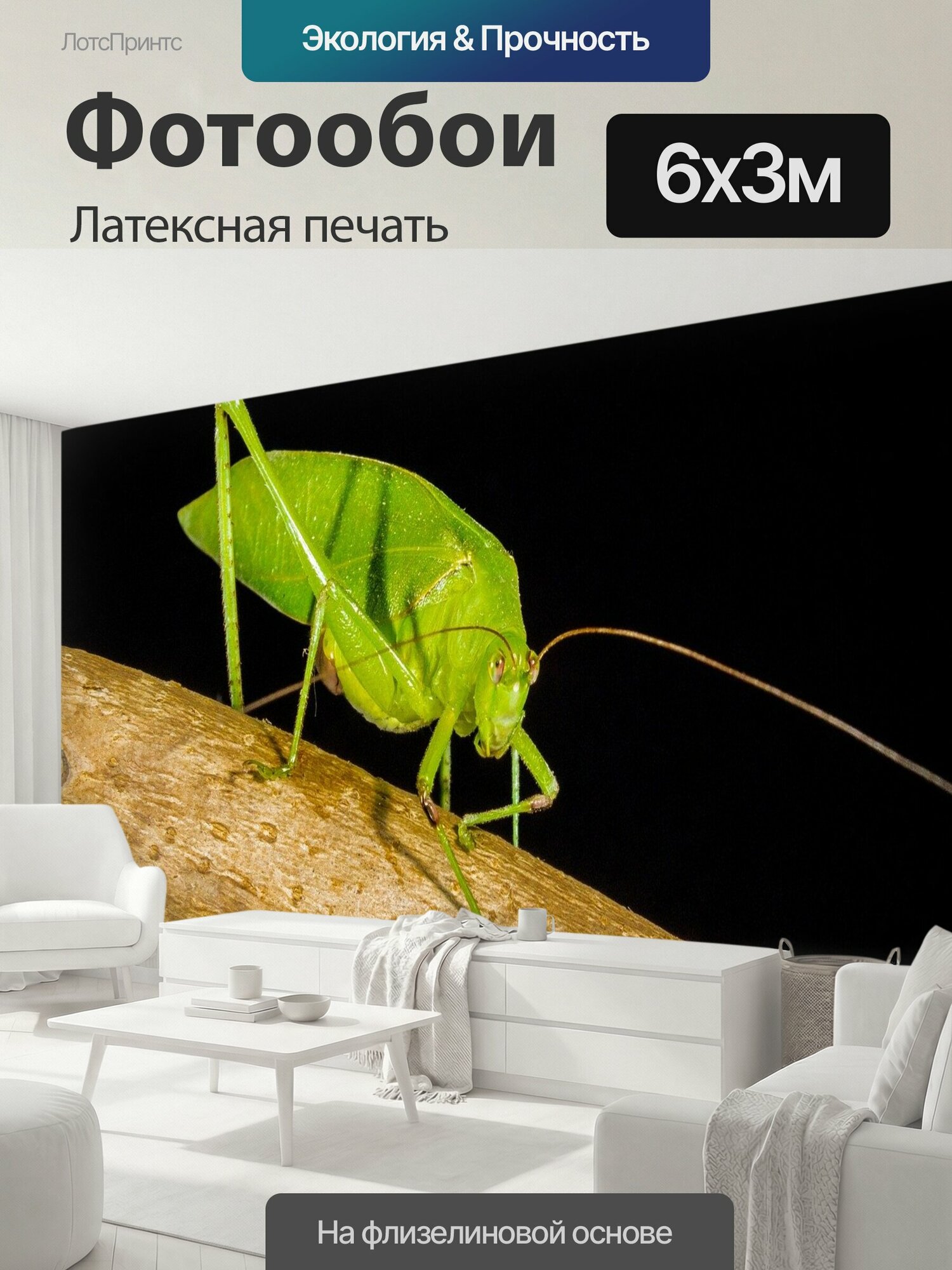 Фотообои моющиеся ударопрочные "Кузнечик, закрывать, зеленый" 600x300 см. латексная печать