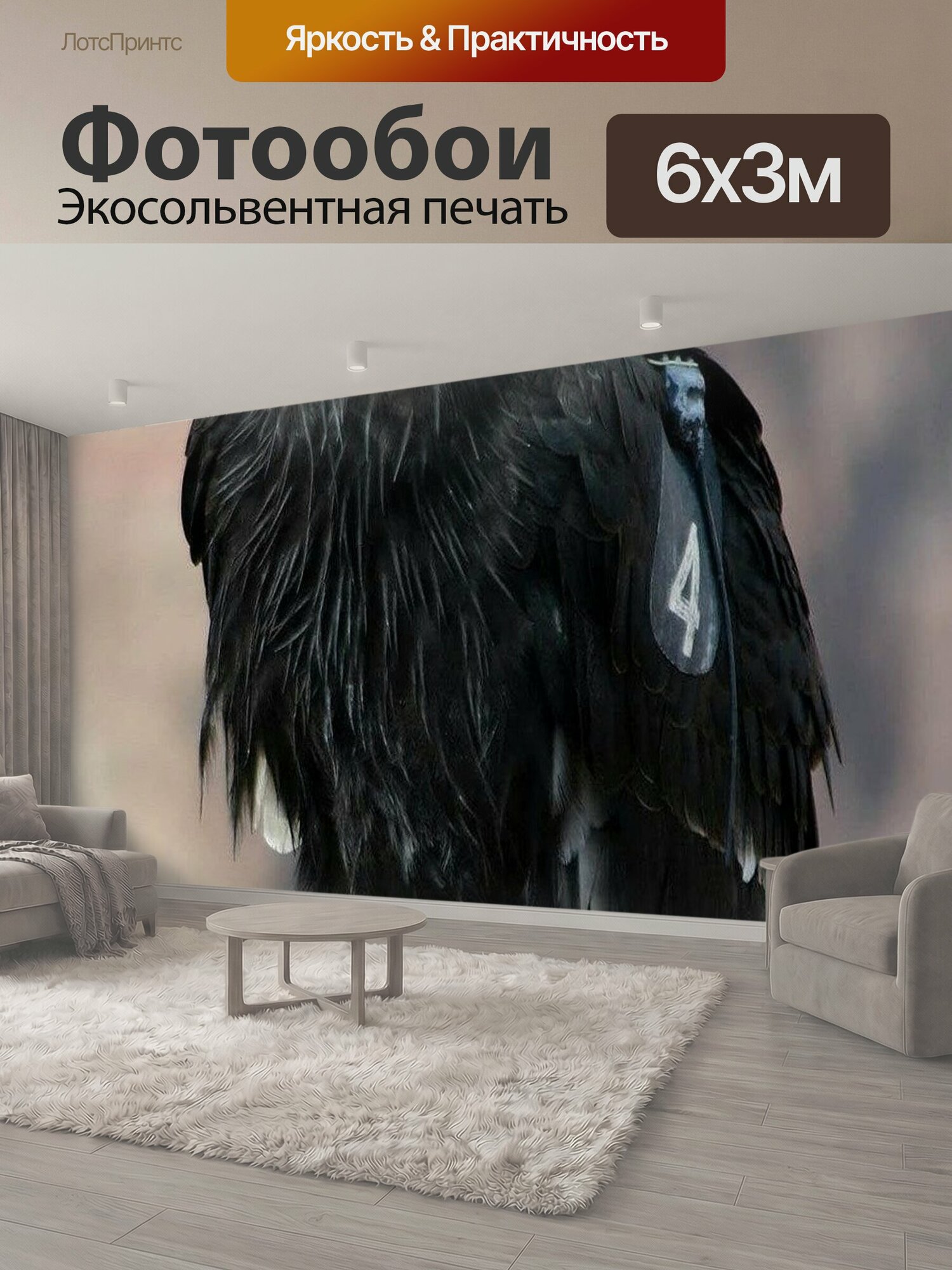 Фотообои "Калифорния, птица, кондор" 600x300 см. экосольвентная печать