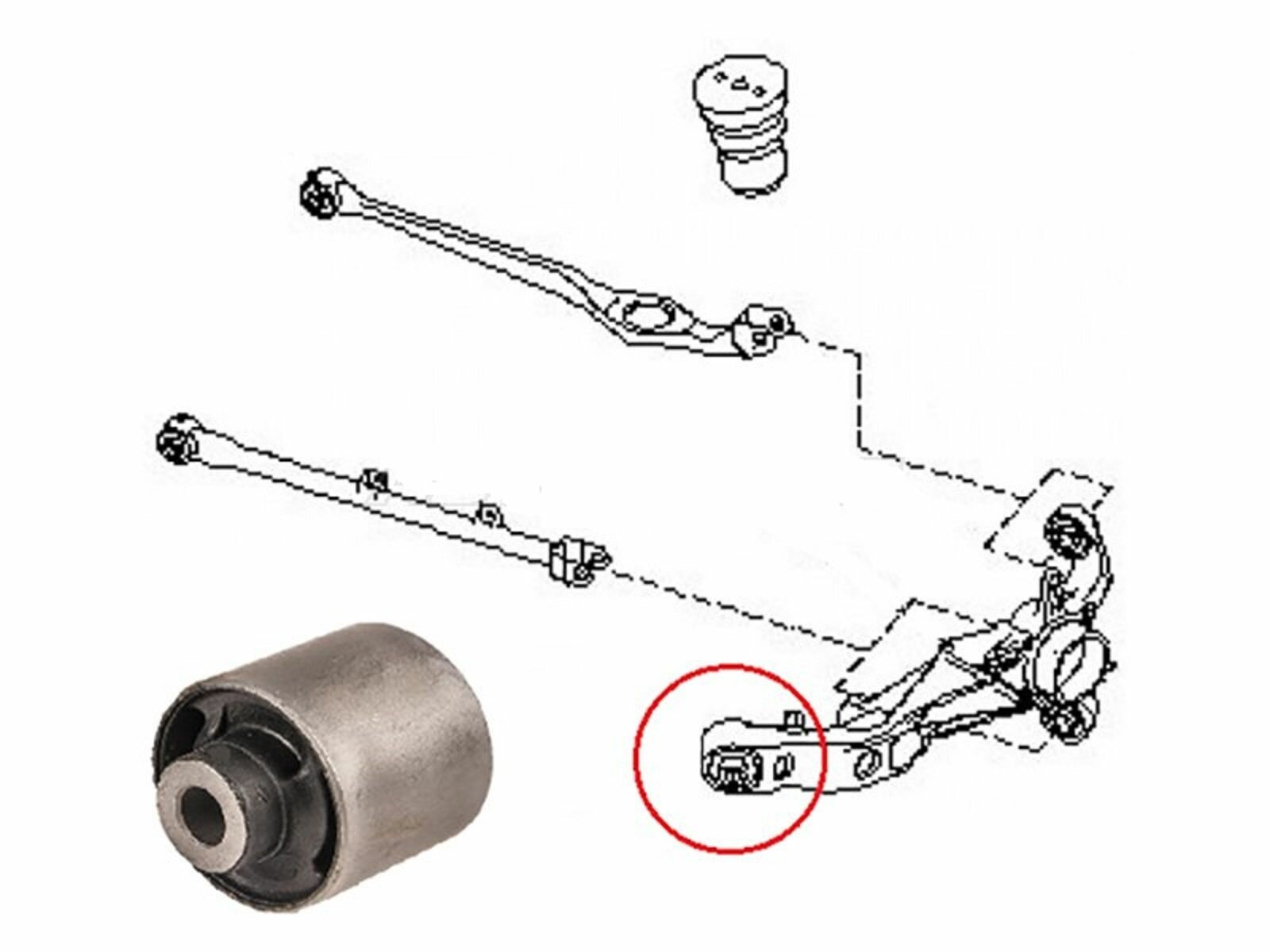 Сайлентблок Nissan AD 99-02 / Wingroad 99-05 / Mazda Familia 98-08 / Nissan Expert 99-06 / Liberty 9