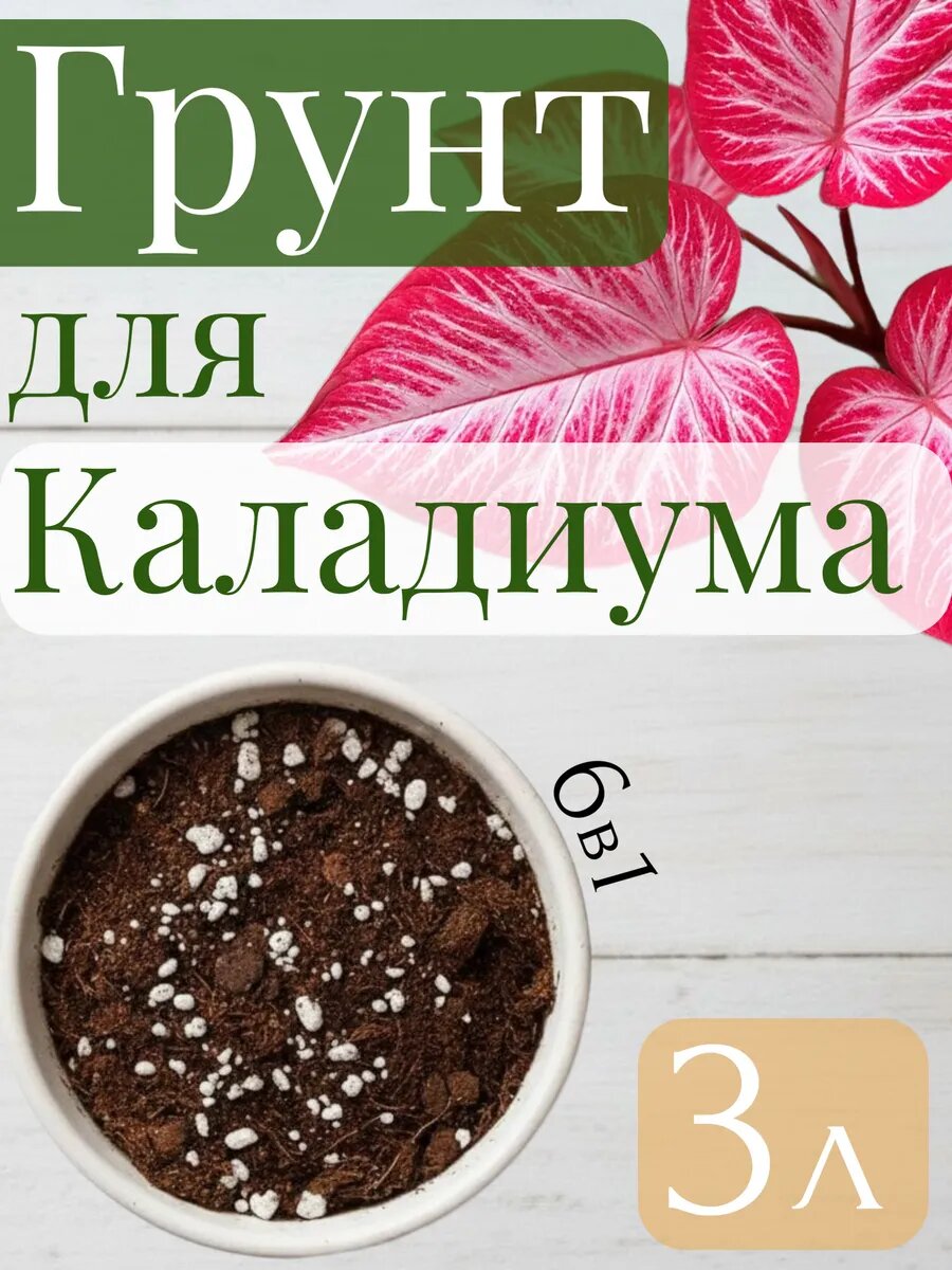 Готовый грунт для Каладиум 3 литра
