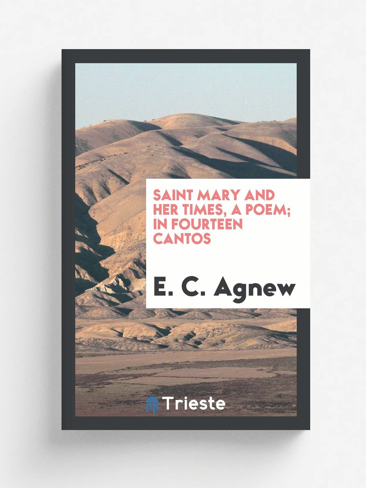Saint Mary and Her Times, a Poem; In Fourteen Cantos