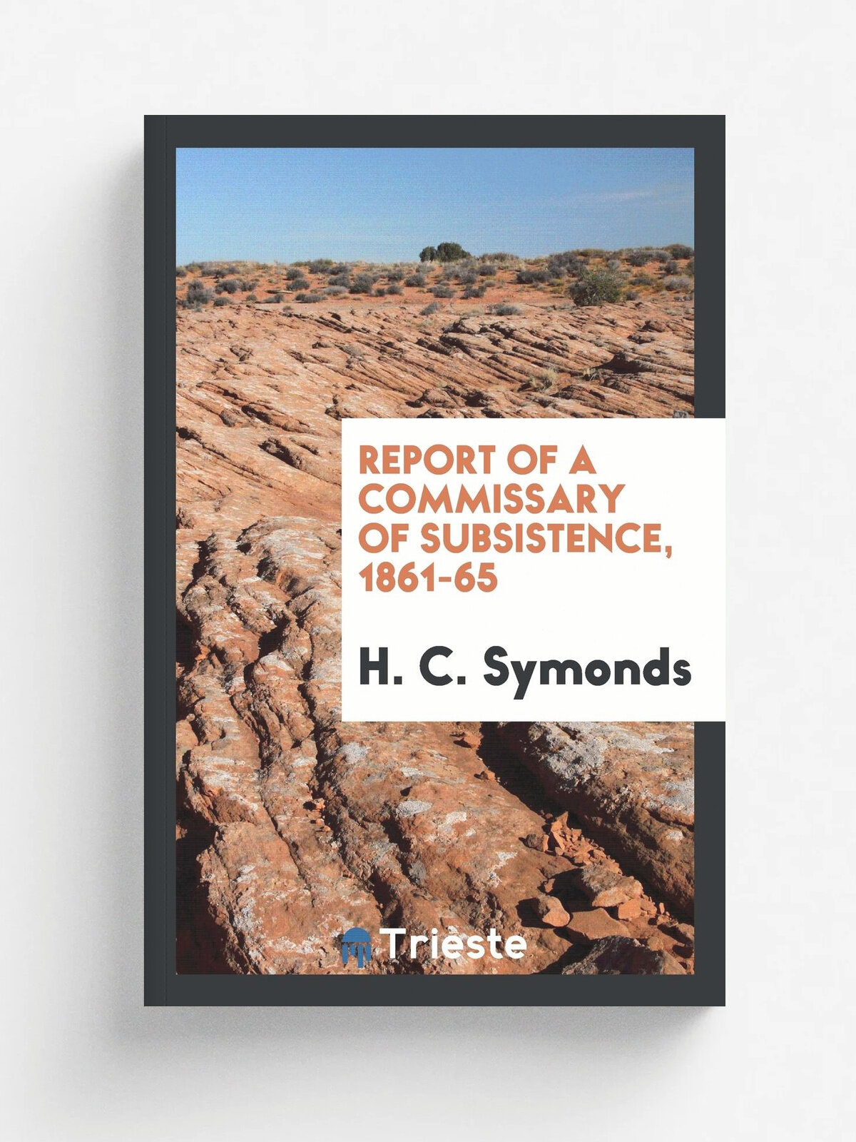 Report of a commissary of subsistence, 1861-65