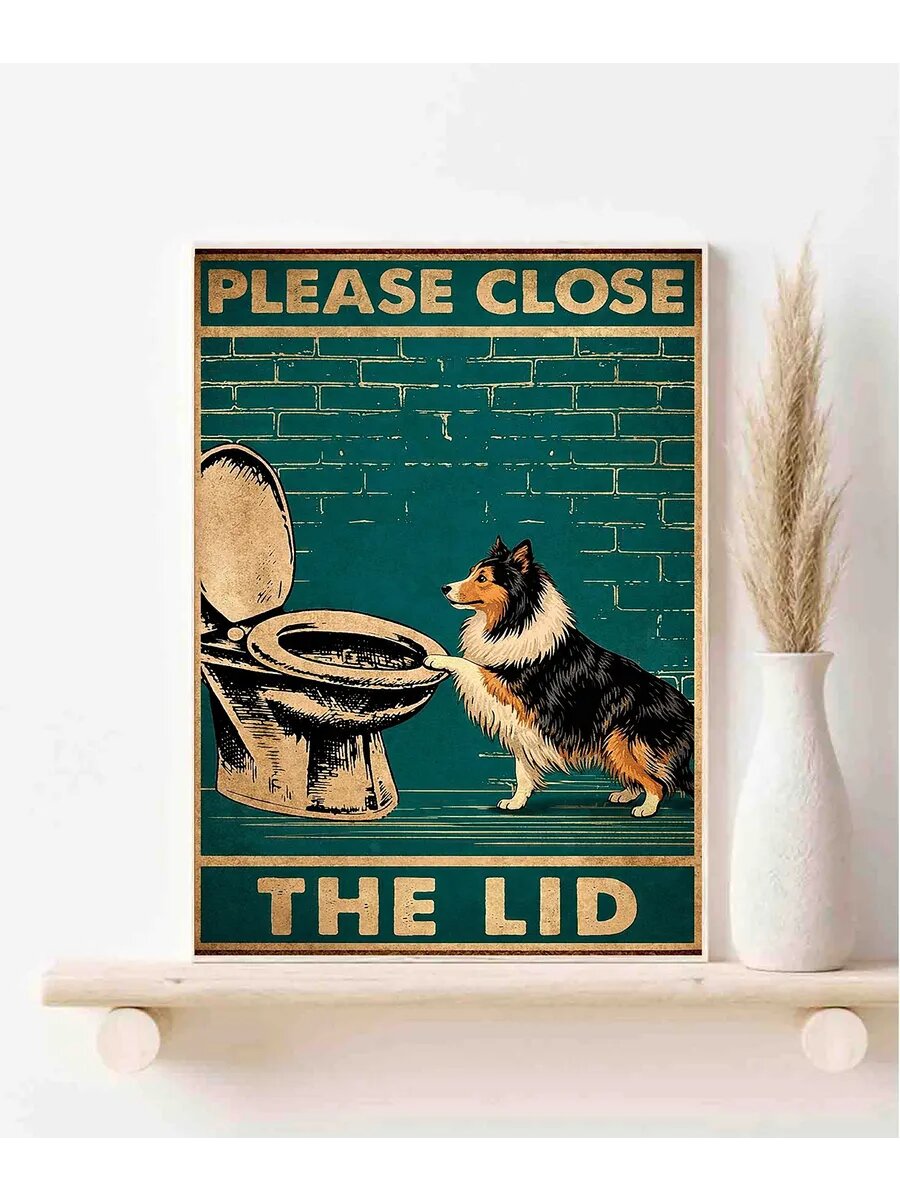 Шетландская овчарка шелти , Close the Lid, Плакат 30x42см