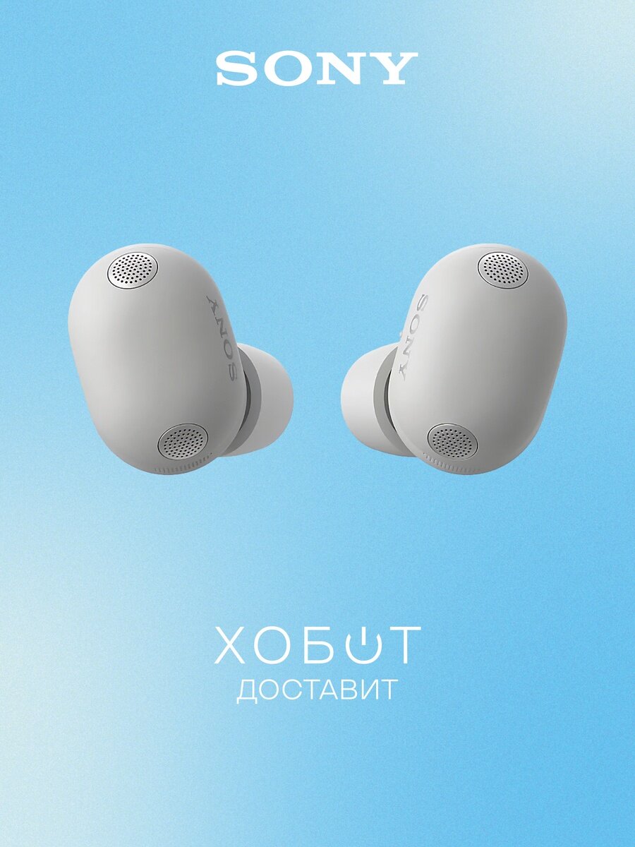 Наушники Sony WF1000XM6/SZE серебристый