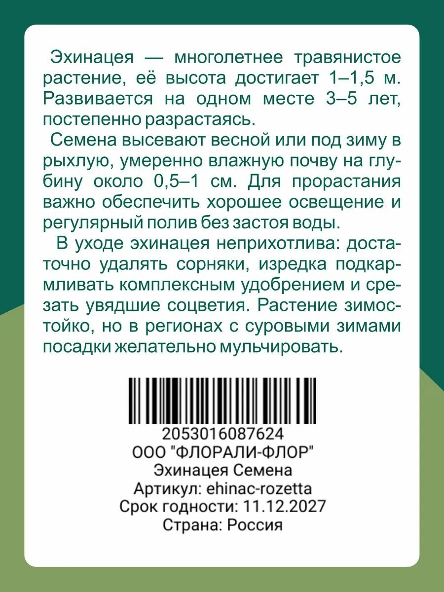 Эхинацея Семена — фото 1