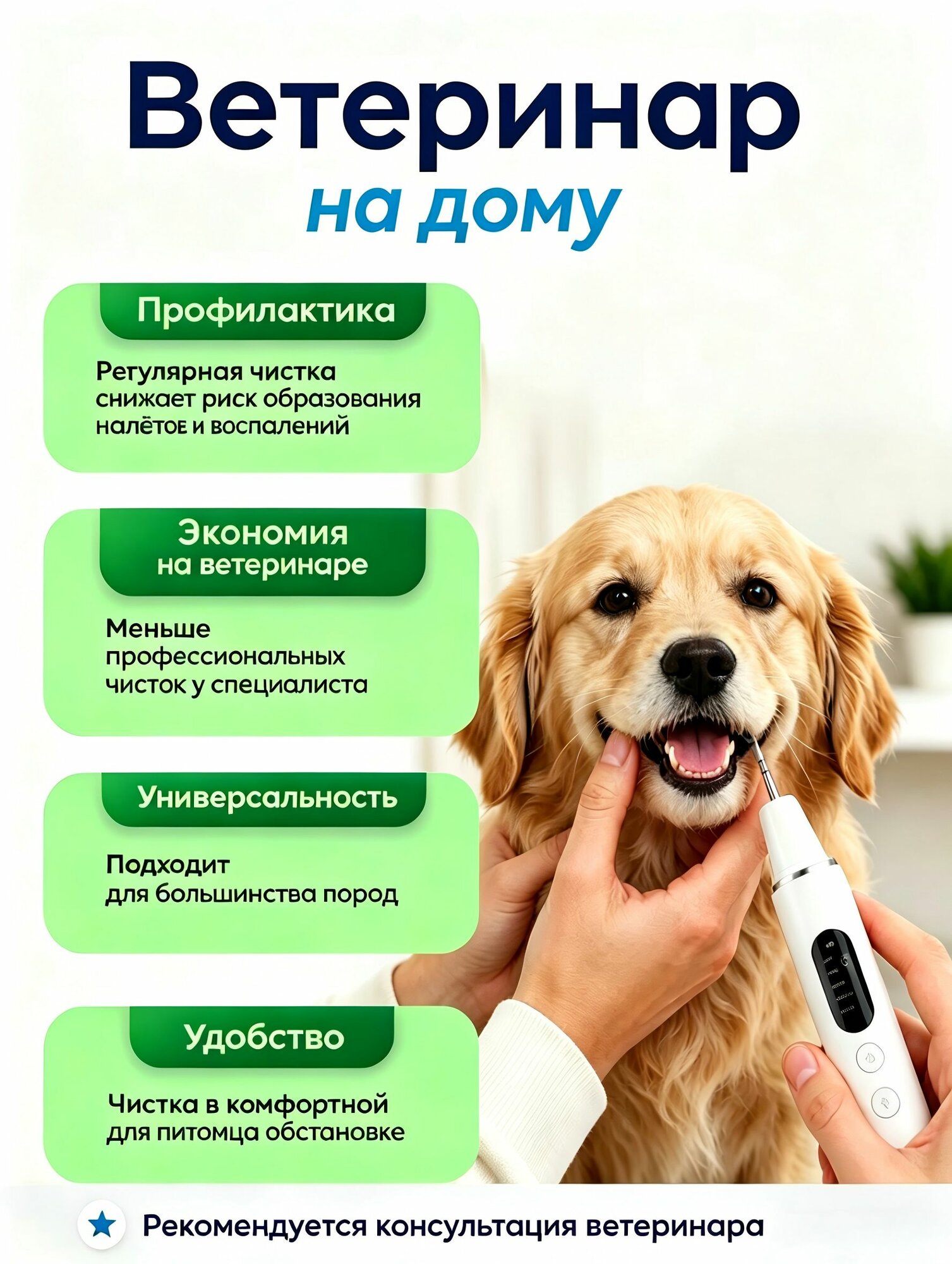 Скалер для удаления зубного камня / ультразвуковой для зубов/ для собак