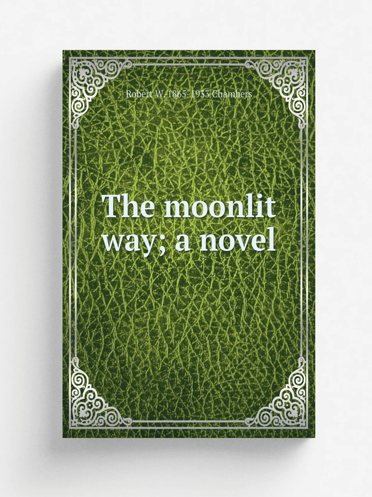 The moonlit way; a novel