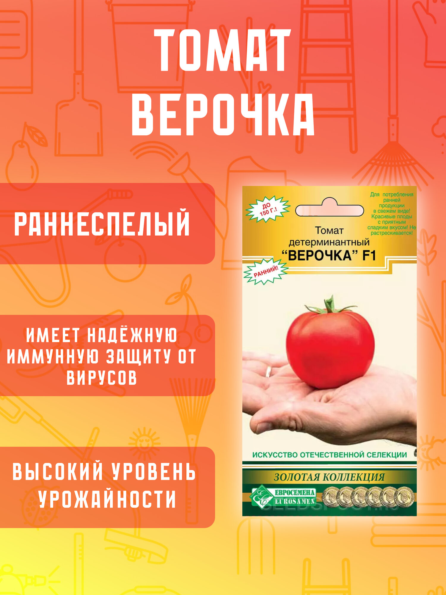 Семена томатов низкорослых для открытого грунта Верочка.