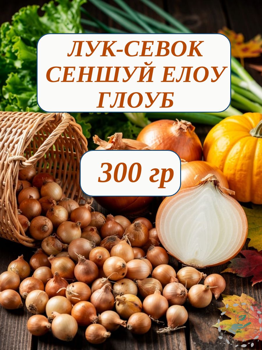 Лук-севок "сеншуй еллоу глоб" Озимый 300 гр на посадку осенью