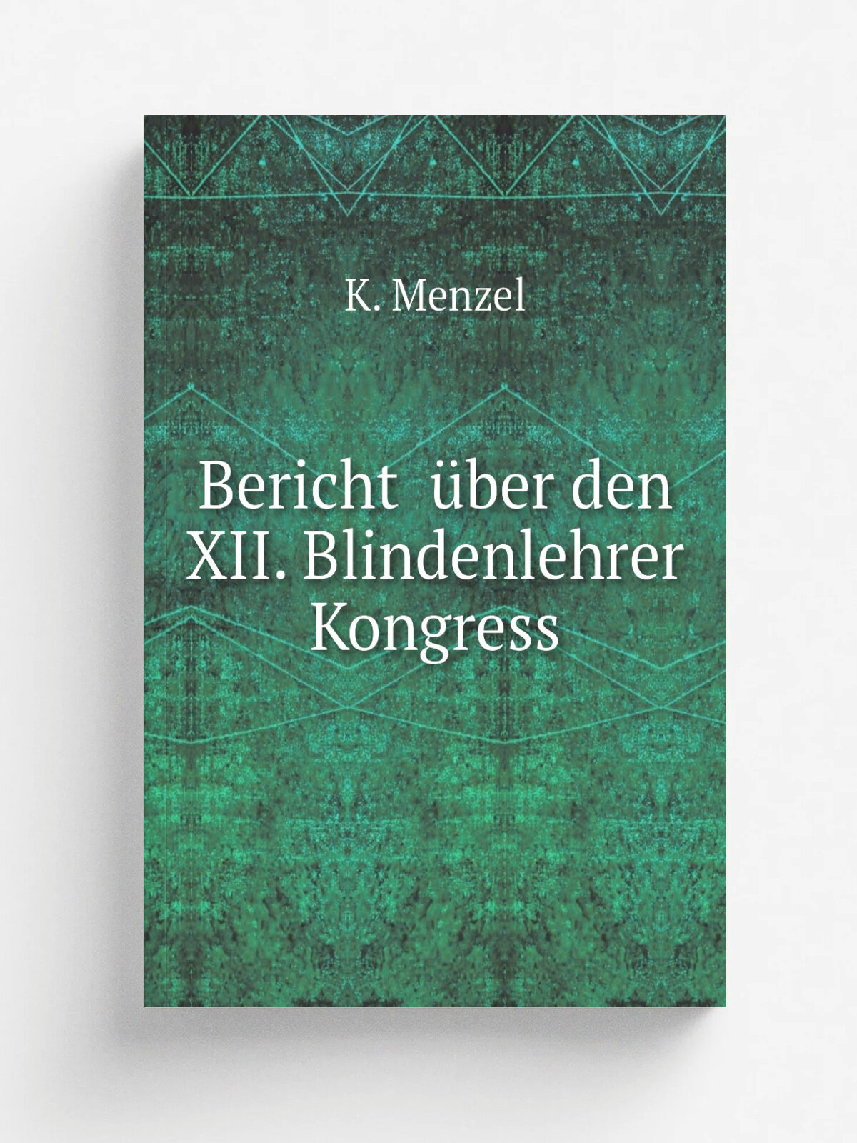 Bericht . ber den Xii. Blindenlehrer Kongress | K. Menzel | 1908 | Agentur des Rauhen Hauses | Репринт